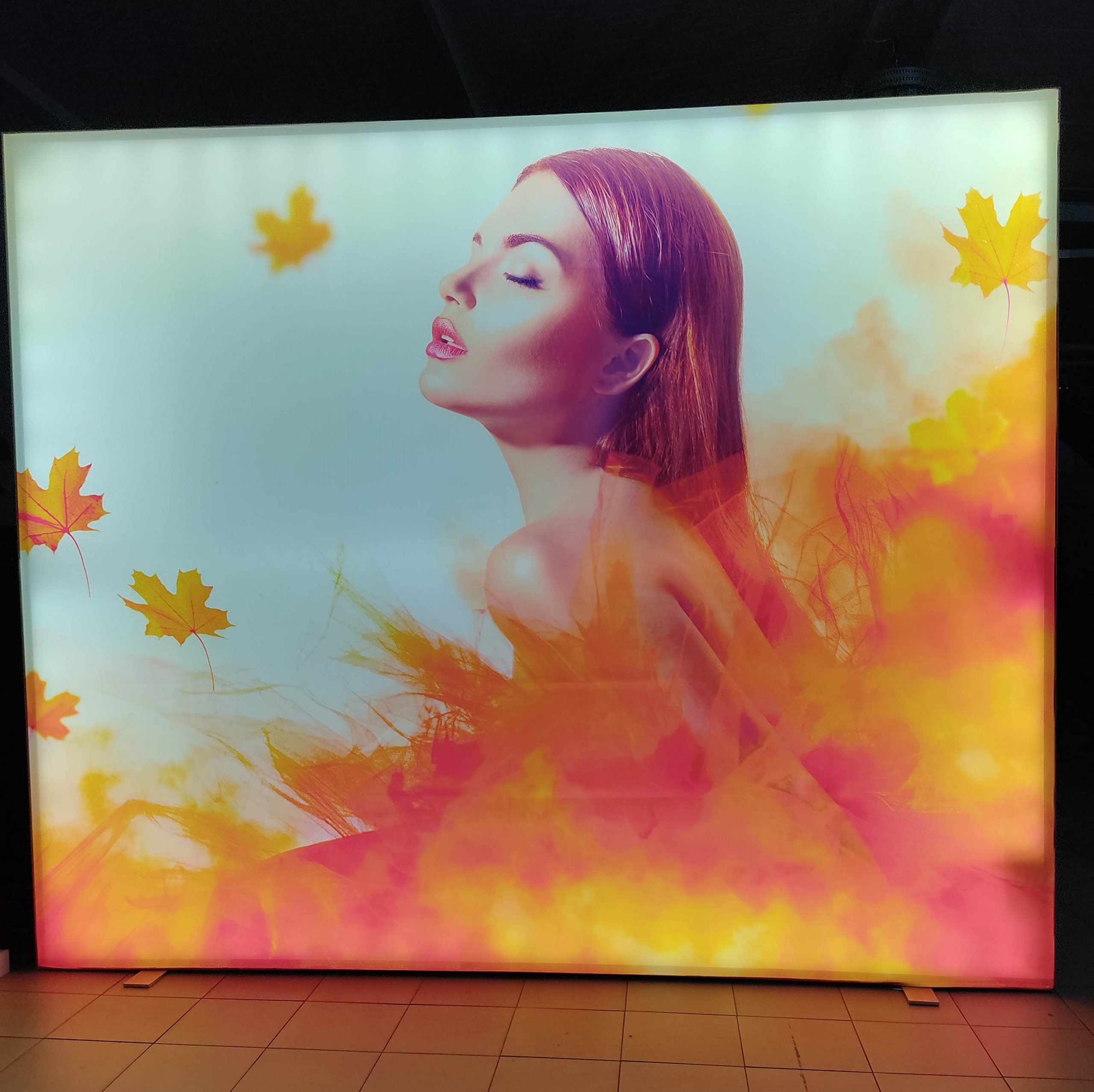 Texframe Lightbox Com Impressão 1 Face - 3Dimense Digital